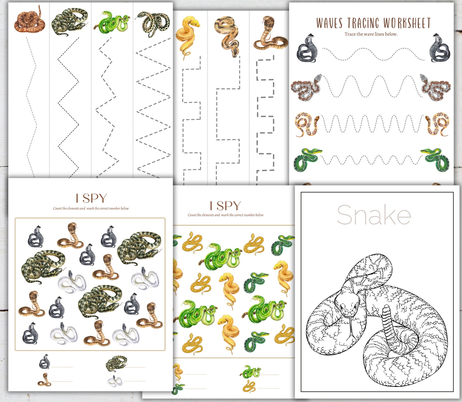 SNAKE Unit Study, Life Cycle, Anatomy, Nature Study, Science ...