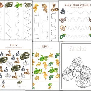 SNAKE Unit Study, Life Cycle, Anatomy, Nature Study, Science ...