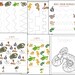 SNAKE Unit Study, Life Cycle, Anatomy, Nature Study, Science ...