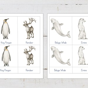 POLAR ANIMALS Mini Poster + 3-part Cards, Arctic and Antarctic Animals ...