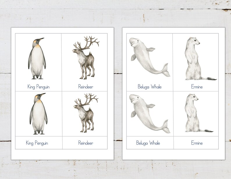 POLAR ANIMALS Mini Poster 3-part Cards Arctic and Antarctic - Etsy