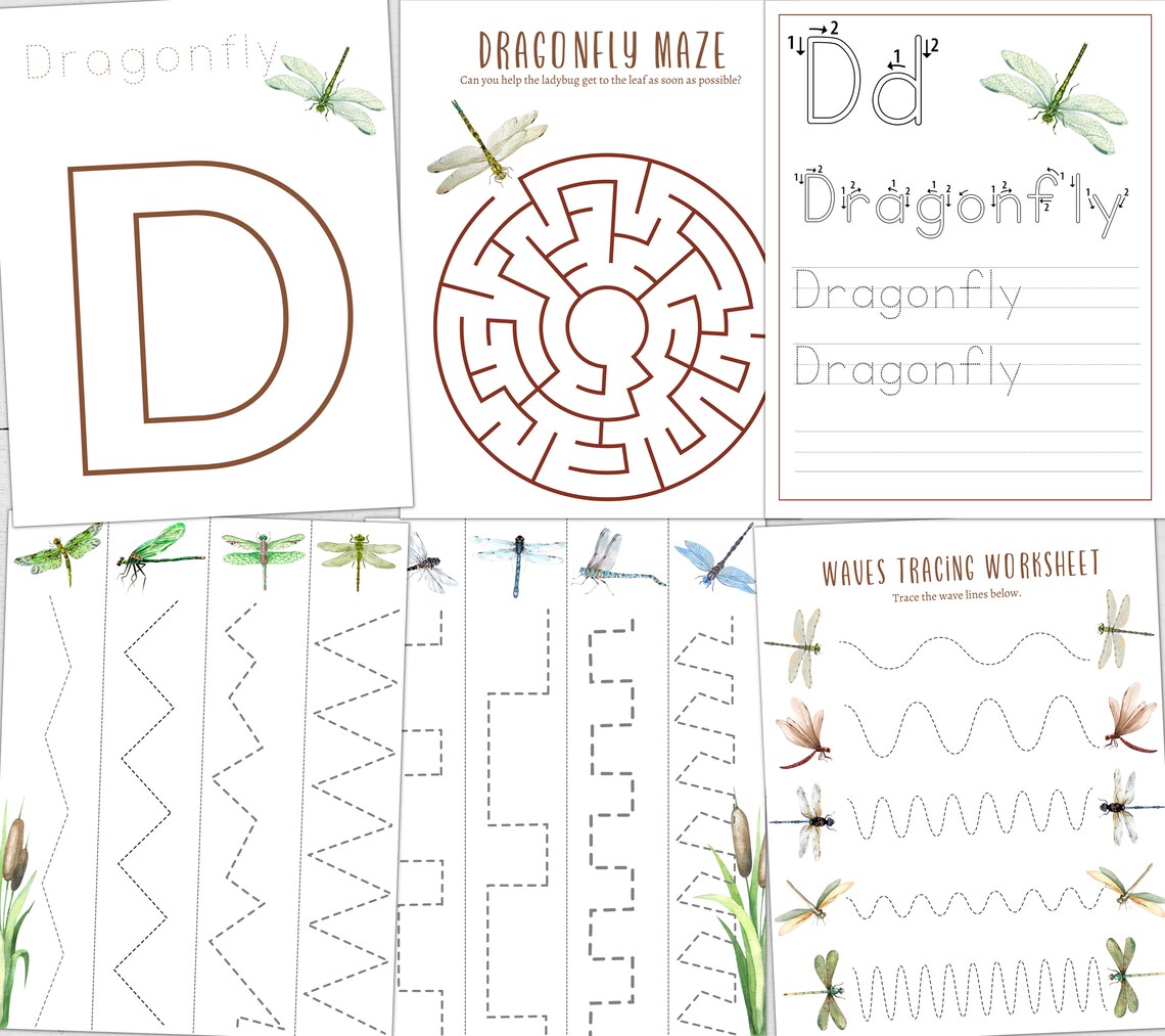 DRAGONFLY Unit Study, Life Cycle, Anatomy, Nature Study, Science ...