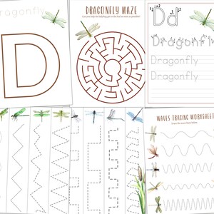 DRAGONFLY Unit Study, Life Cycle, Anatomy, Nature Study, Science ...