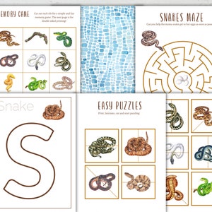 SNAKE Unit Study, Life Cycle, Anatomy, Nature Study, Science ...