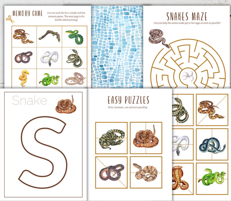 SNAKE Unit Study, Life Cycle, Anatomy, Nature Study, Science ...