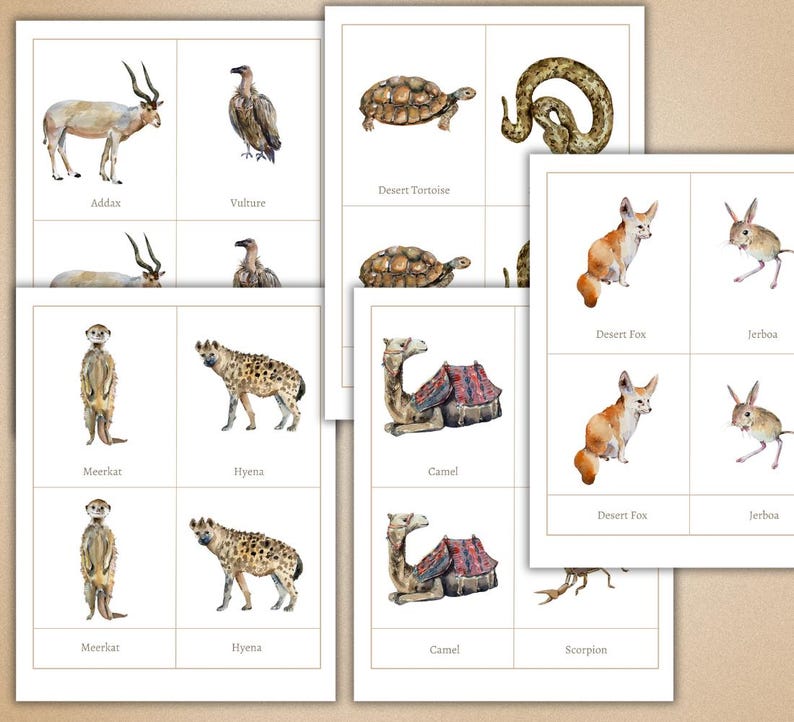 DESERT Animals Pre-k and K Activity Pack, Homeschool, Digital, INSTANT ...