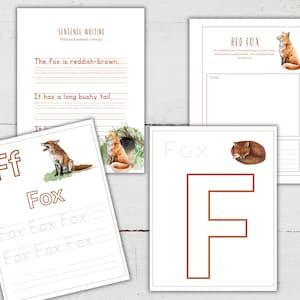 RED FOX Mini Unit Study, Life Cycle, Anatomy, Nature Study, Science ...