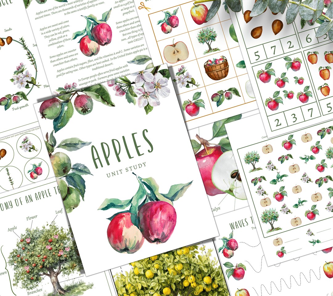 APPLE Unit Study, Life Cycle, Anatomy, Nature Study, Science ...