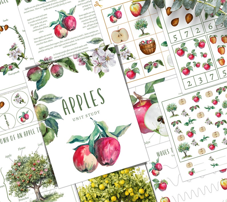 APPLE Unit Study, Life Cycle, Anatomy, Nature Study, Science ...