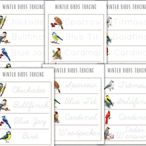WINTER BIRDS Unit Study, Life Cycle, Anatomy, Nature Study, Science ...