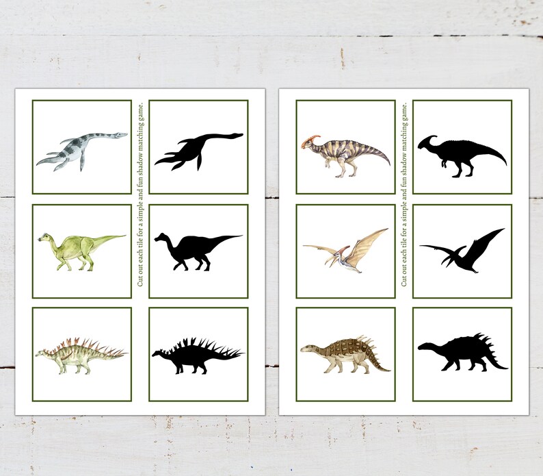 DINOSAUR Shadow Matching, Silhouette Matching, Montessori at Home ...