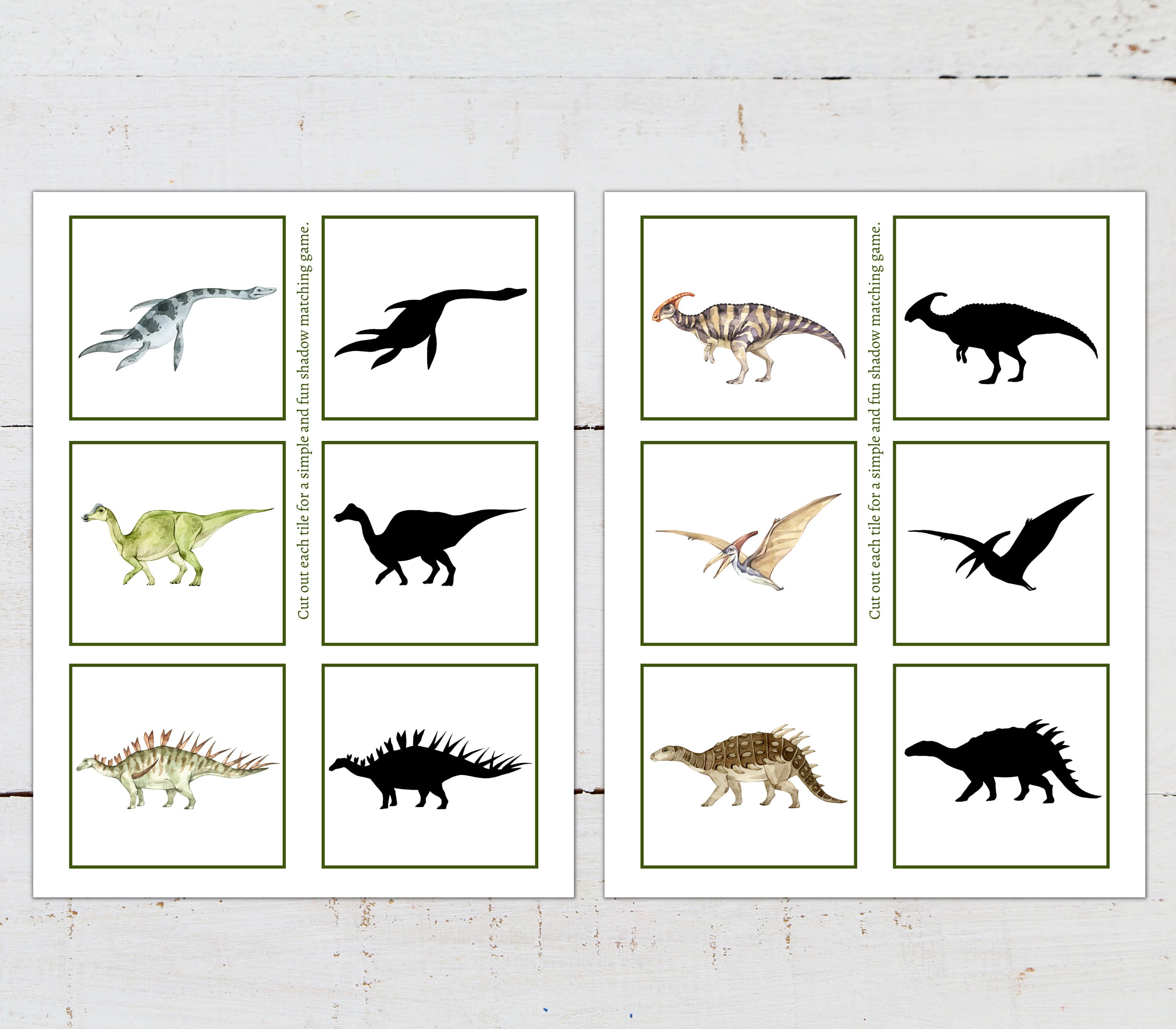 DINOSAUR Shadow Matching, Silhouette Matching, Montessori at Home ...
