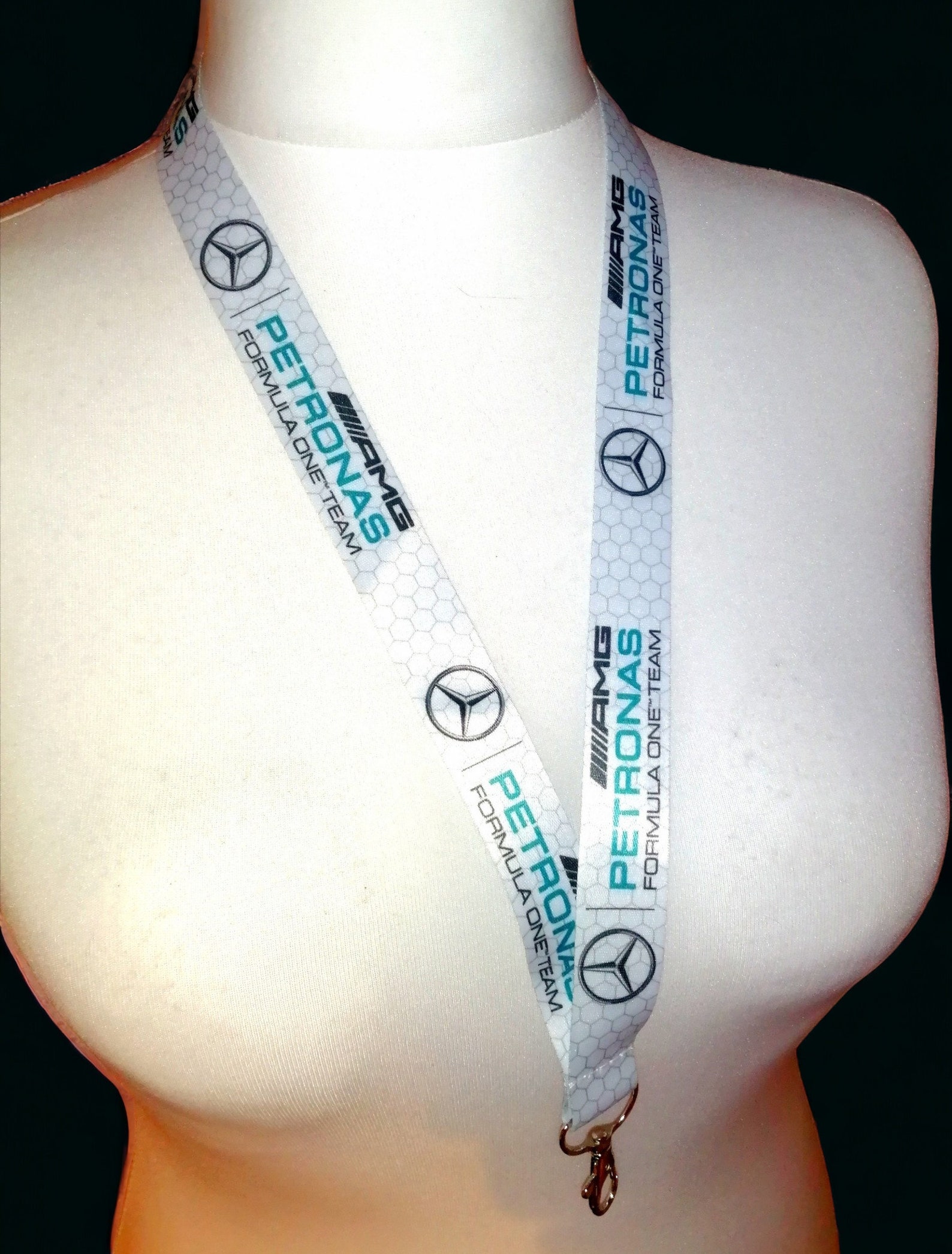 Formula 1 Lanyard F1 Lanyard Formula 1 Keyring F1 Keyring Petronas ...