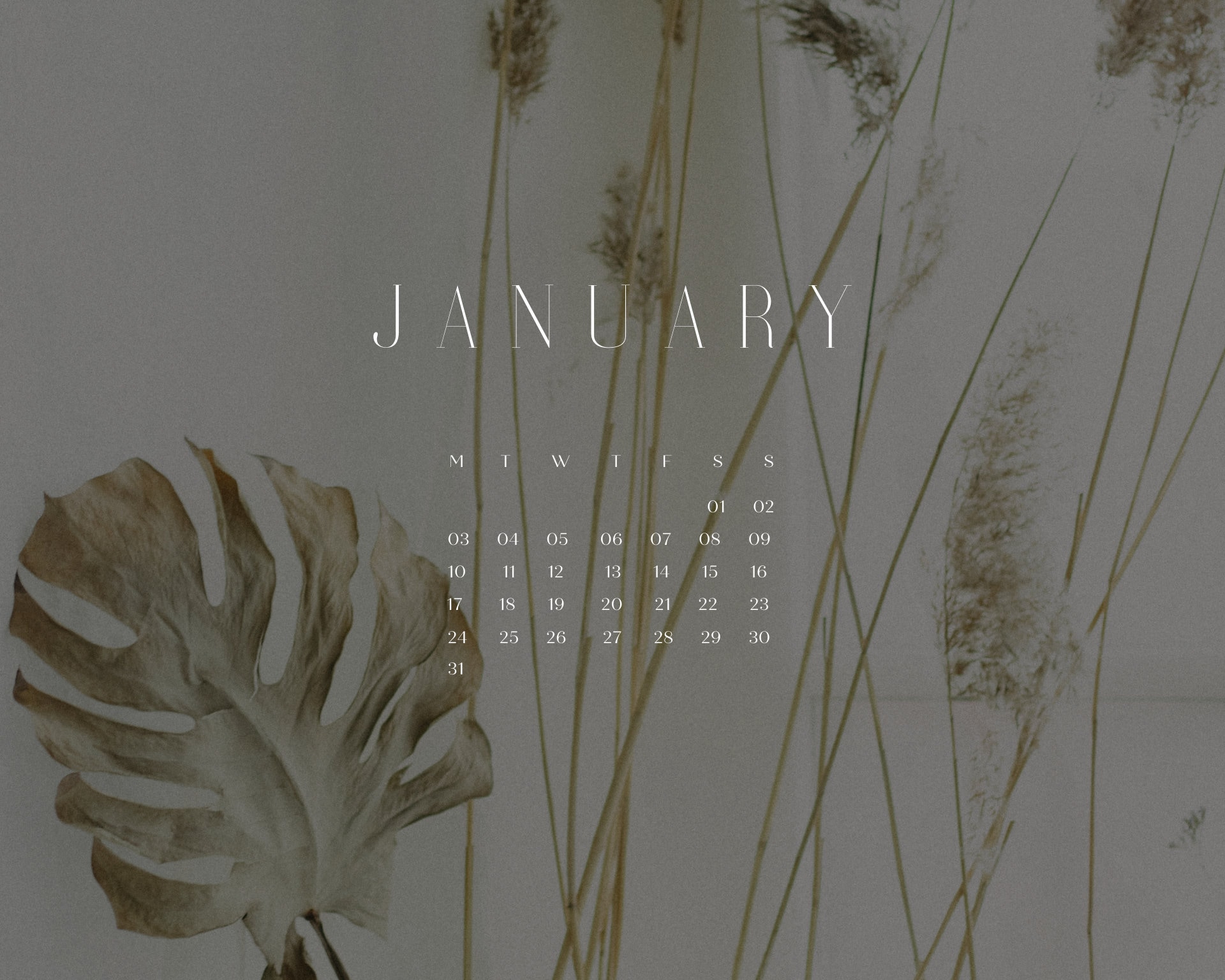 Aesthetic "that Girl" January Calendar Computer Background Bundle - Etsy