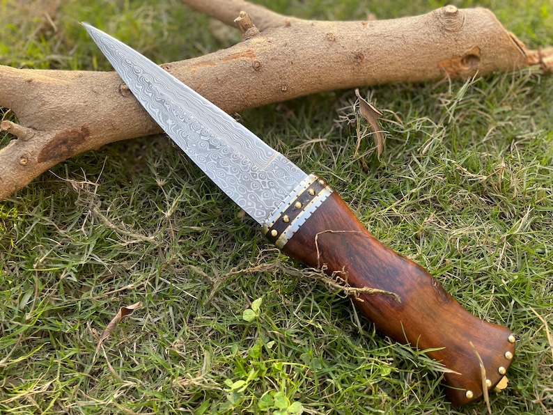 Commander Lexa Dagger From the 100, Damascus Steel Hunting Knife ...