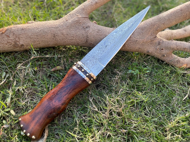 Commander Lexa Dagger From the 100, Damascus Steel Hunting Knife ...