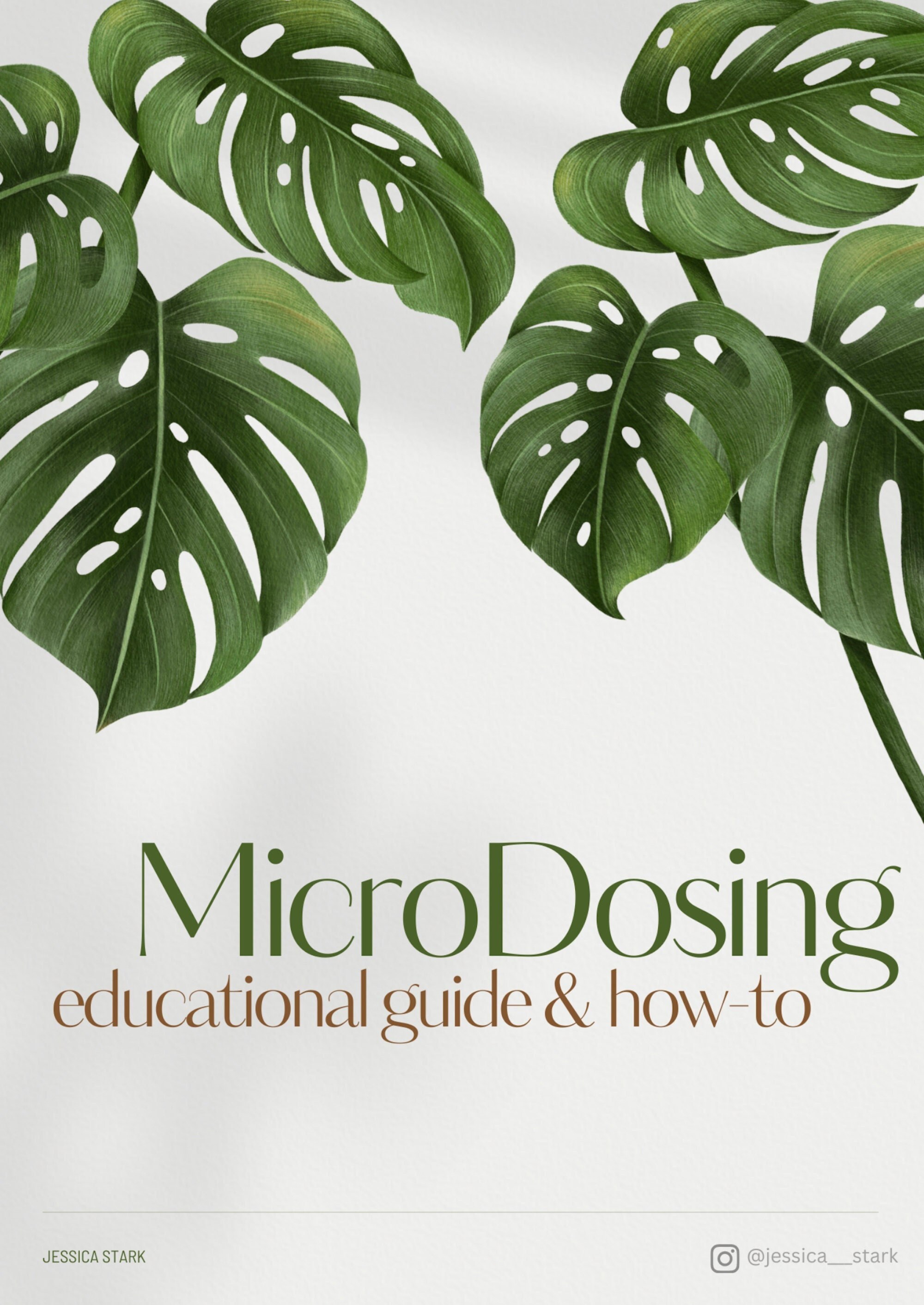 Microdosing Guide - Etsy