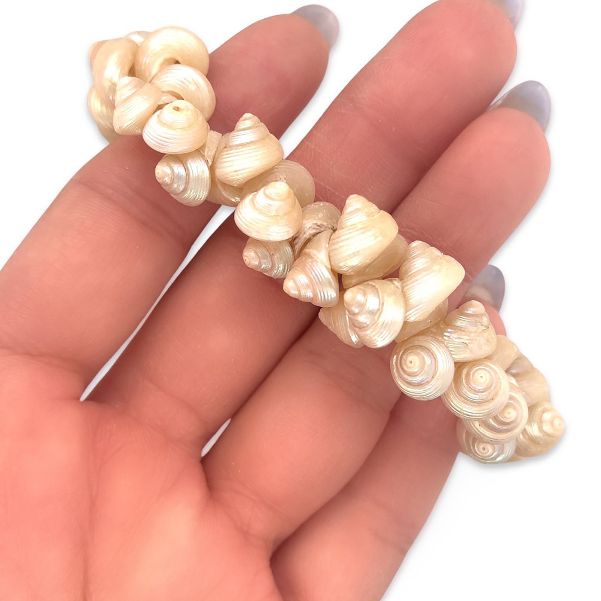 Vintage 1950's Snail Shell Choker Necklace - Natural Shell, Bridal ...