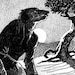 Werewolf Spell, Transform Into Werewolf, Transformation Spell, and ...
