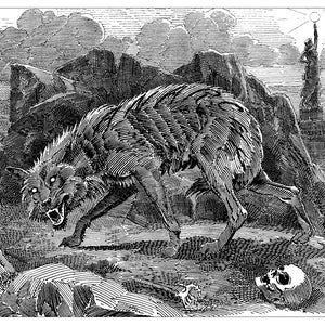 Werewolf Spell, Transform Into Werewolf, Transformation Spell, and ...