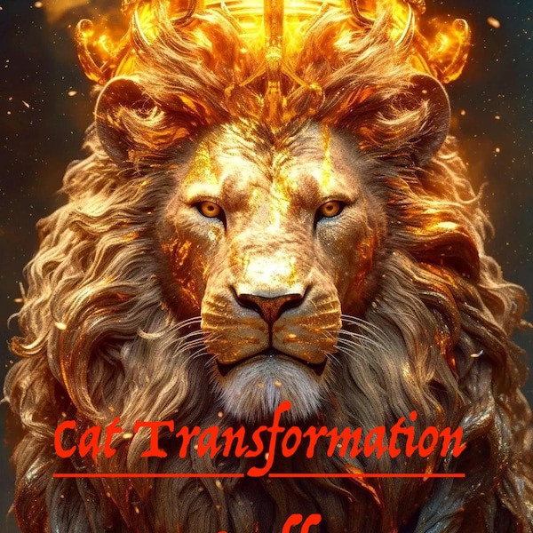 Transformation - Etsy