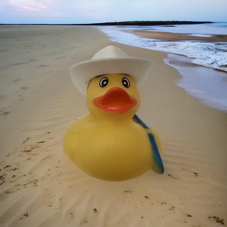 Coastal Cowboy, Coastal Cowgirl Duck Accessory, Cruising Duck,surfer ...