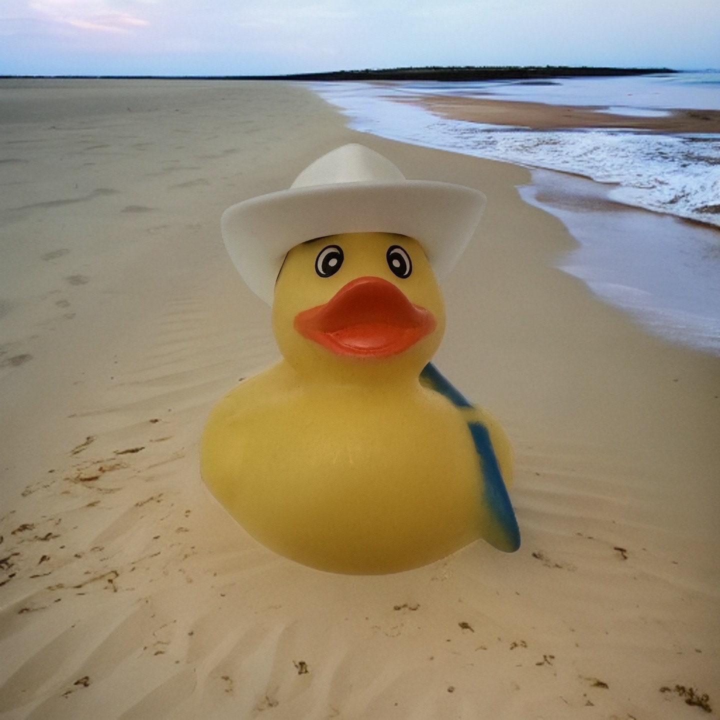 Coastal Cowboy, Coastal Cowgirl Duck Accessory, Cruising Duck,surfer ...