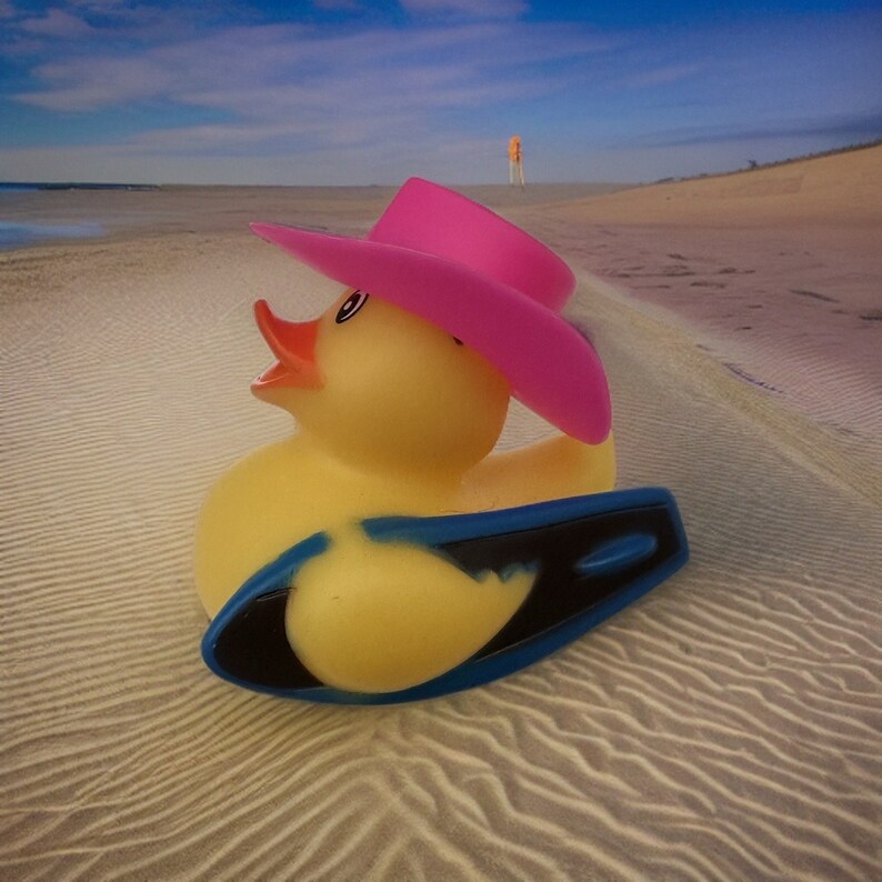 Coastal Cowboy, Coastal Cowgirl Duck Accessory, Cruising Duck,surfer ...