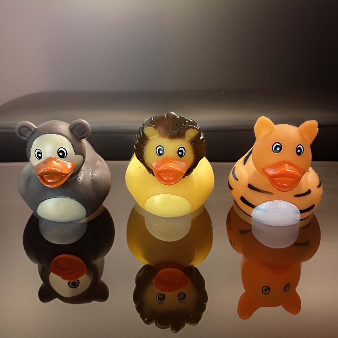 Lion, Tiger and Bears Rubber Duck Office Gift, Duck Collector ...