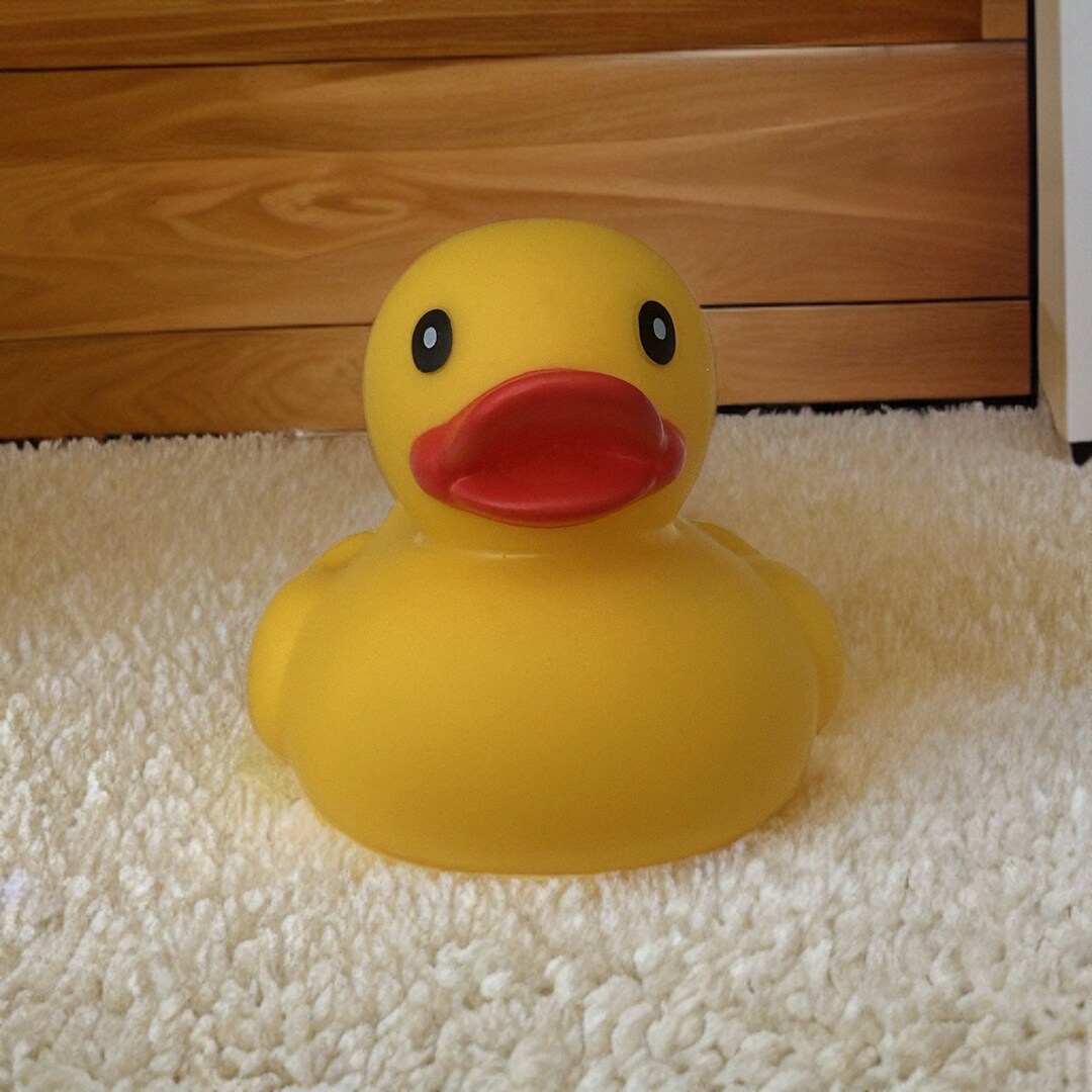 Not Your Average Duck. Large Duck, Collector, Dashboard Duck, Cruising ...