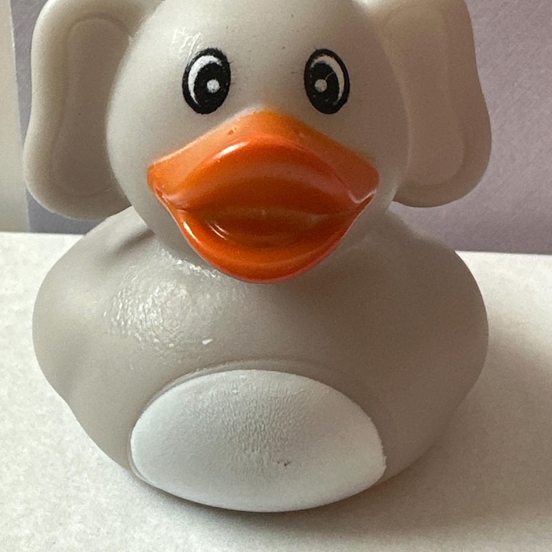 Unique Rubber Ducks - Etsy