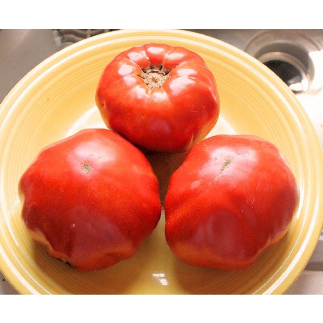 Vinson Watts Tomato Seeds - Etsy