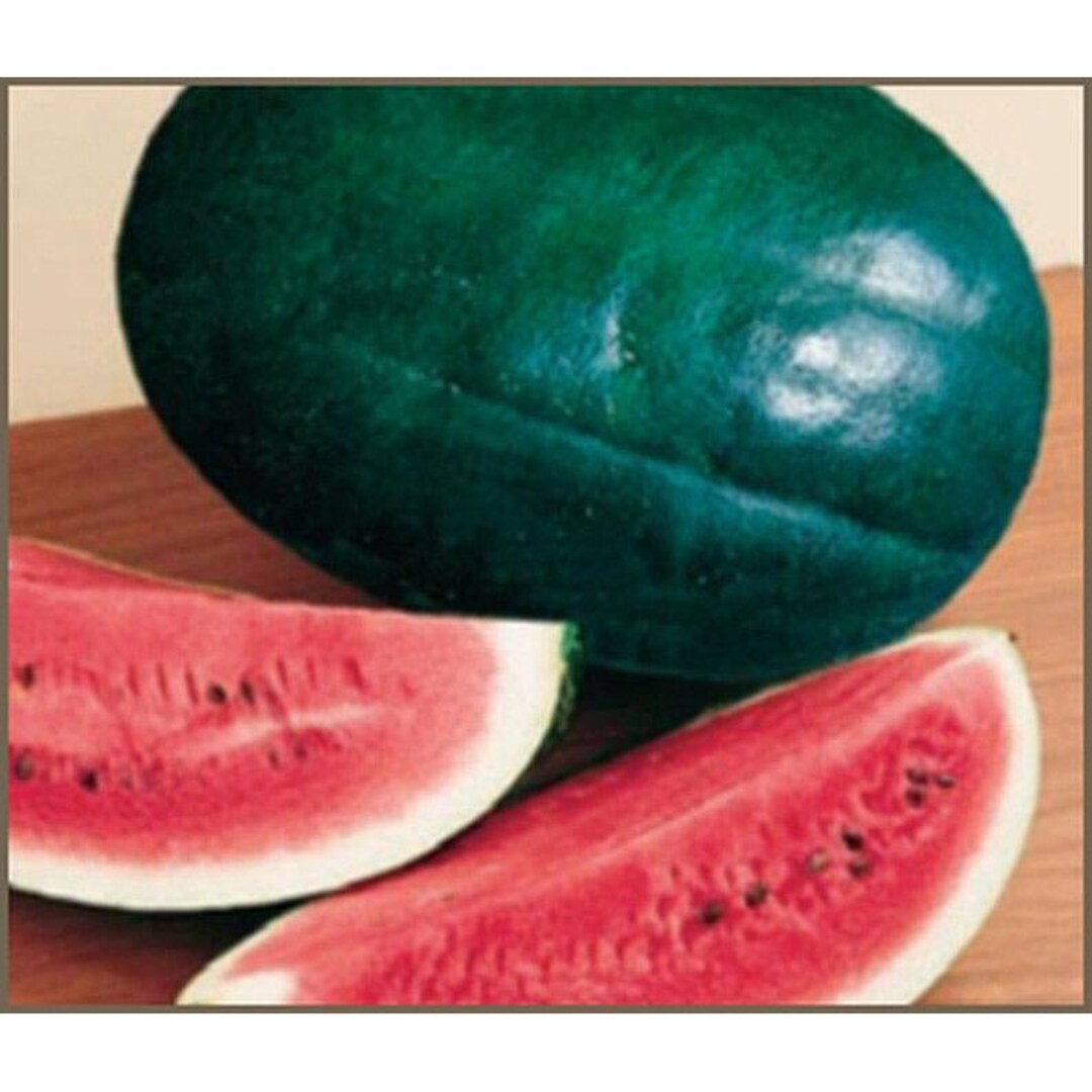 Black Diamond Watermelon Seeds - Etsy