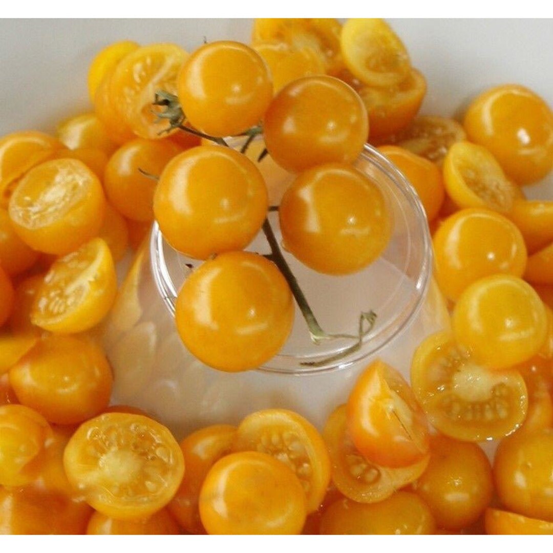 Aunt Ruby's Yellow Cherry Tomato Seeds - Etsy