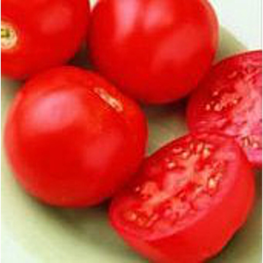 Early Goliath Tomato Seeds - Etsy