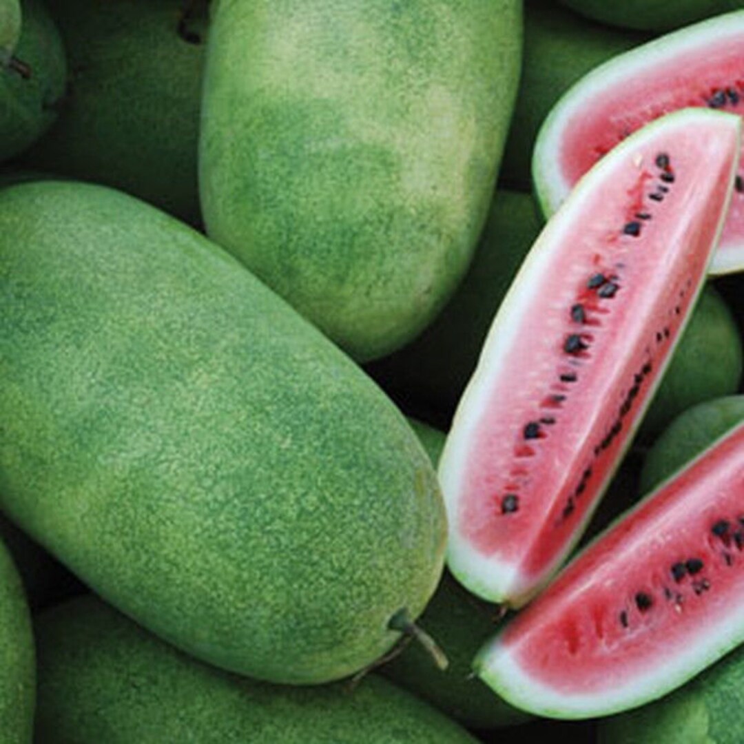 Charleston Grey Watermelon Seeds - Etsy