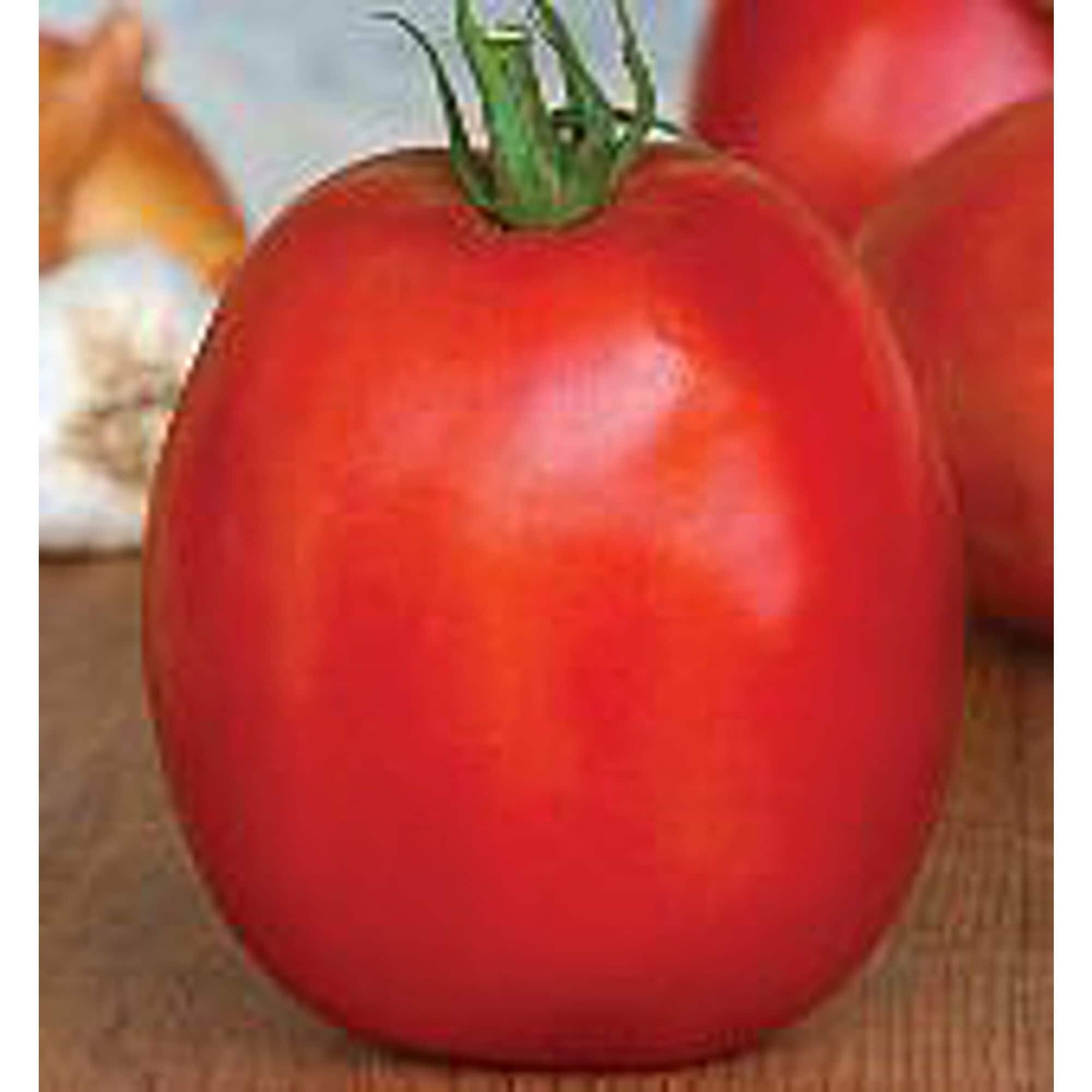 Supersauce Tomato Seeds - Etsy