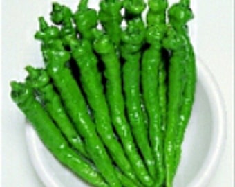 50 Fushimi Sweet Long Japanese Sweet Pepper Seeds 伏見甘長唐辛子 ふしみあまなが - Etsy