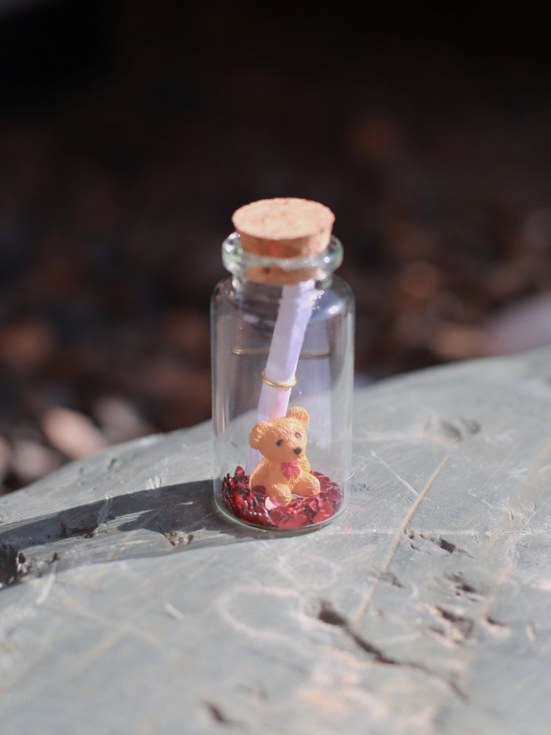 Teddy Bear Message in a Bottle, Anniversary/valentines/birthday Gift ...