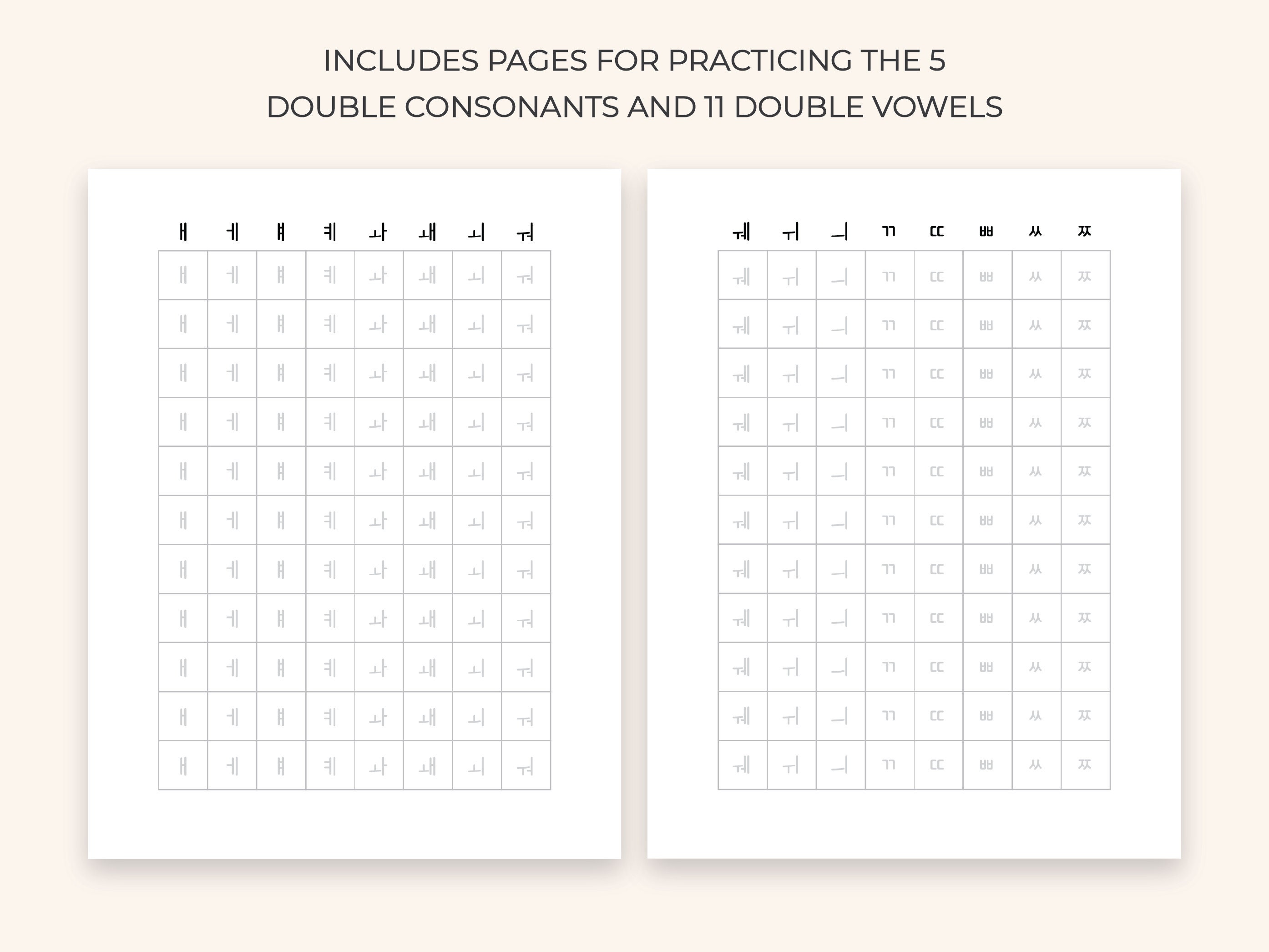 Korean Double Consonants and Vowel Combinations Printable Worksheets ...