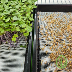Silicone Reusable Microgreen Grow Medium / Microgreen Grow Mat ...
