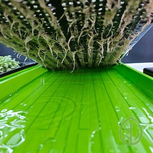 Silicone Reusable Microgreen Grow Medium / Microgreen Grow Mat ...