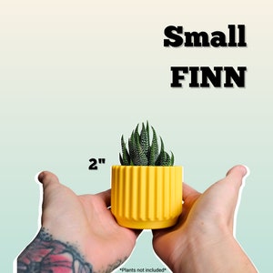 FINN - Colorful Minimalist Planter for Indoor Plants, Cactus ...