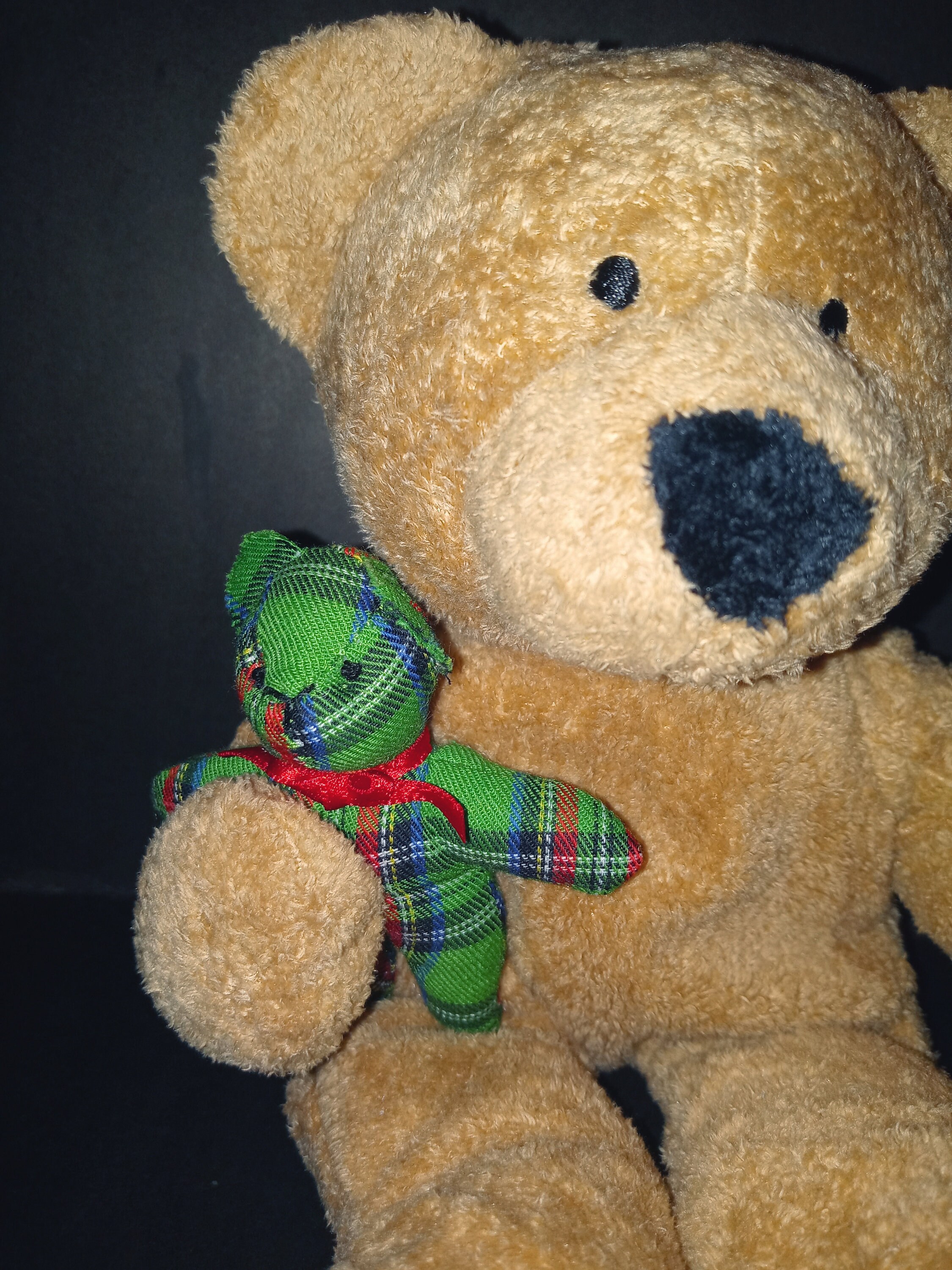 Ty Pluffie: Beary Merry the Brown Bear Mwmts - Etsy