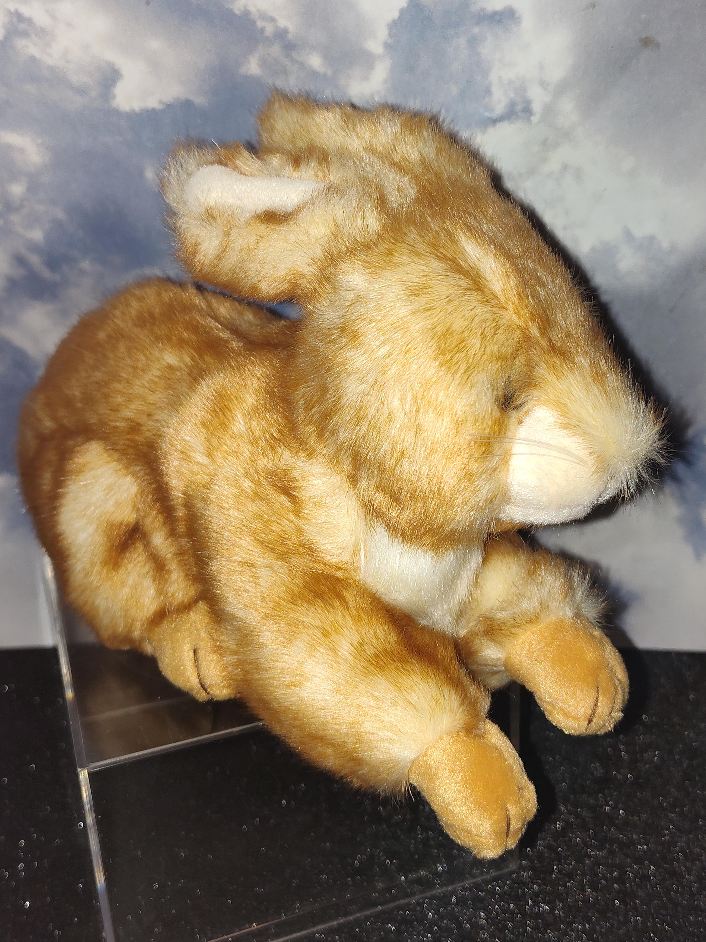 TY Beanie Babies - BUNNIES (binksy, Minksy ) Mwmts - Etsy