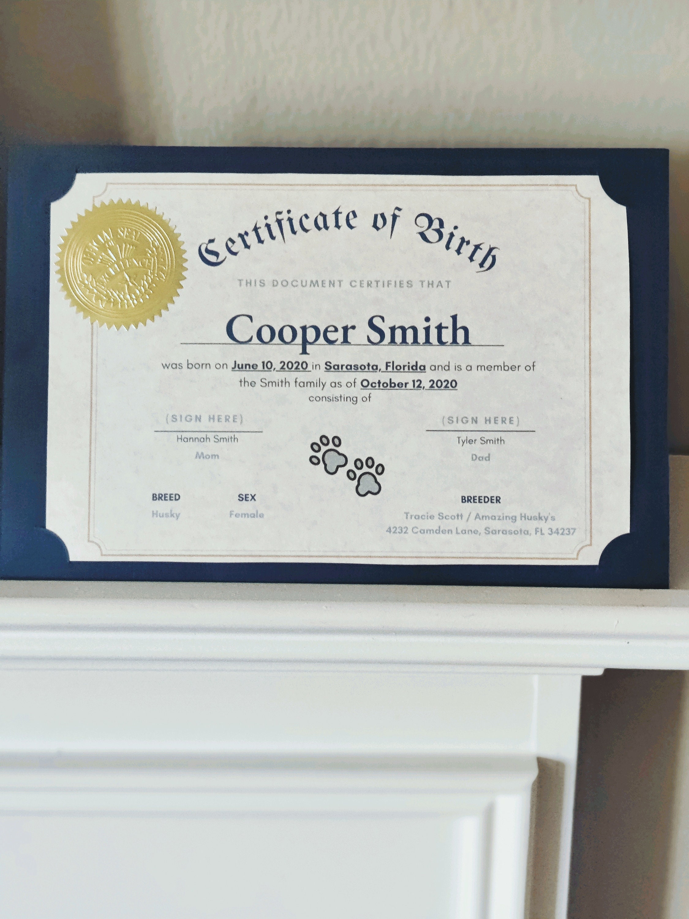 Acta de nacimiento del perro - Etsy España