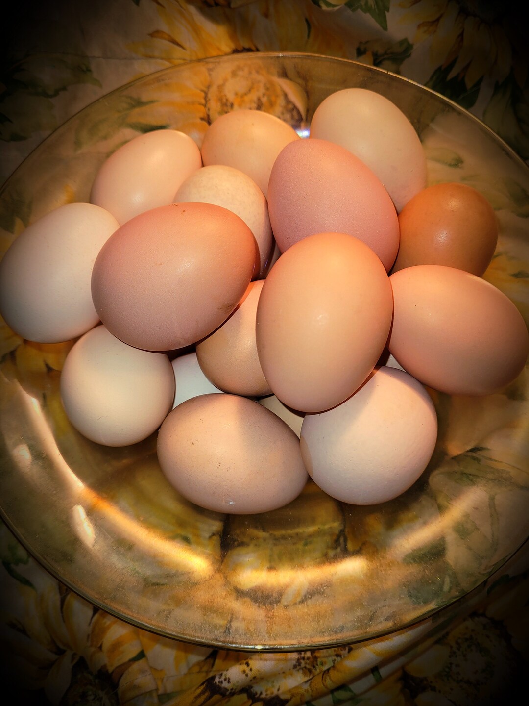 Glorious Eggs, Egg Print, Egg Photo, Pretty Eggs, Spring Eggs - Etsy