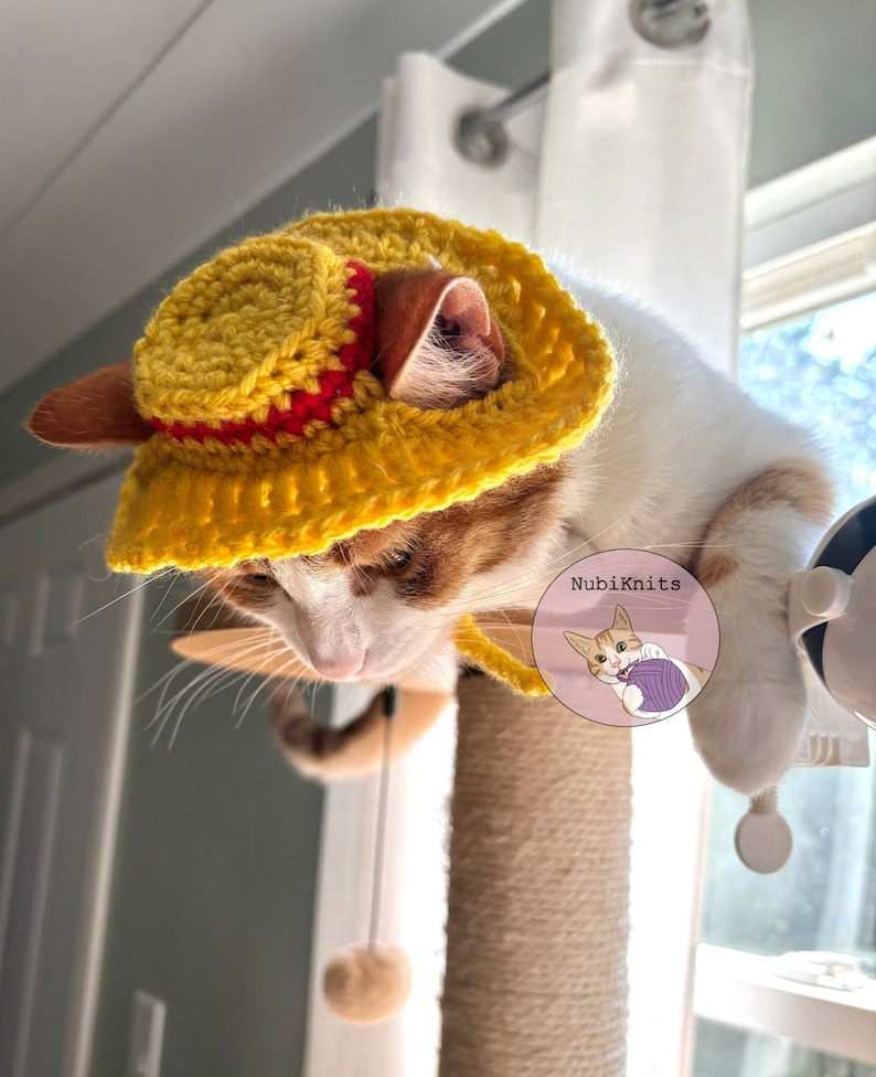 CROCHET PATTERN: Cat Sun Hat/bucket Hat or for Small Dog Crochet ...