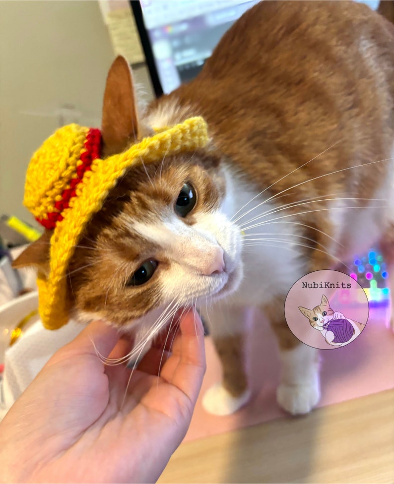 CROCHET PATTERN: Cat Sun Hat/bucket Hat or for Small Dog Crochet ...