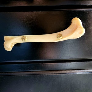 Sold*example of Work*do NOT Buy* Cabinet of Curiosities / Gothic ...